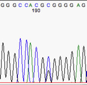 Interpretation of Sequencing Chromatograms