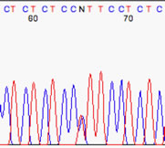 Interpretation of Sequencing Chromatograms